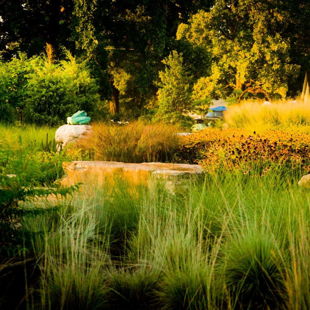 Delano Park - Page | Duke Landscape Architects