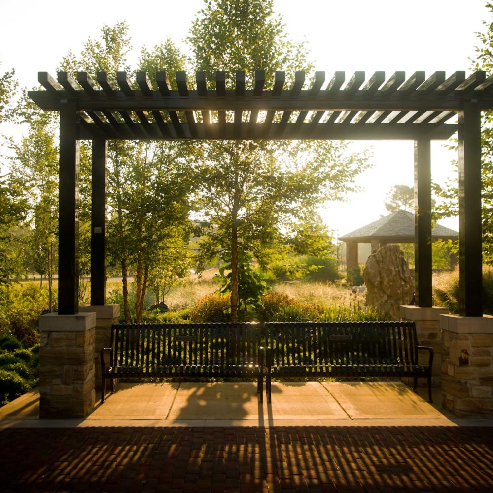 Delano Park - Page | Duke Landscape Architects
