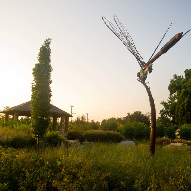 Delano Park - Page | Duke Landscape Architects