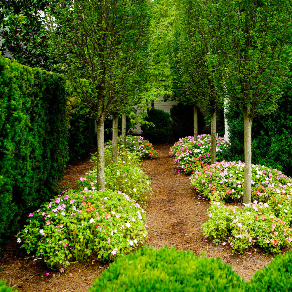 Verde - Page | Duke Landscape Architects