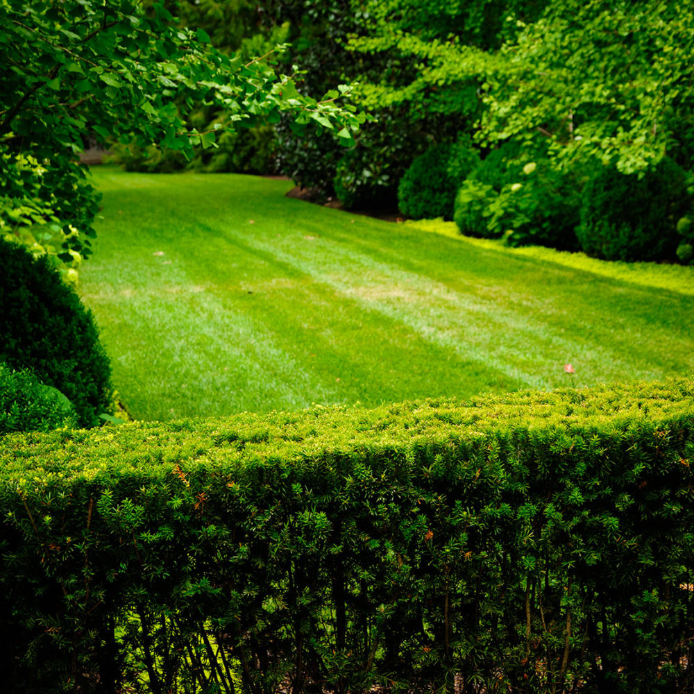 Verde - Page | Duke Landscape Architects