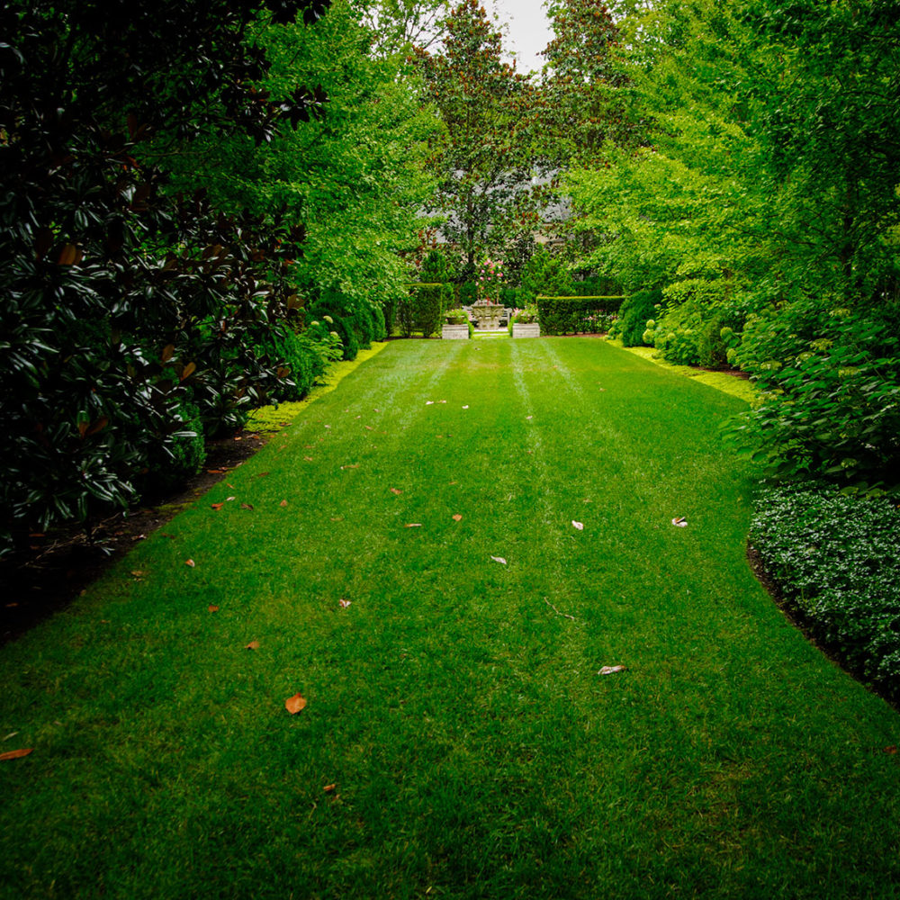 Verde - Page | Duke Landscape Architects