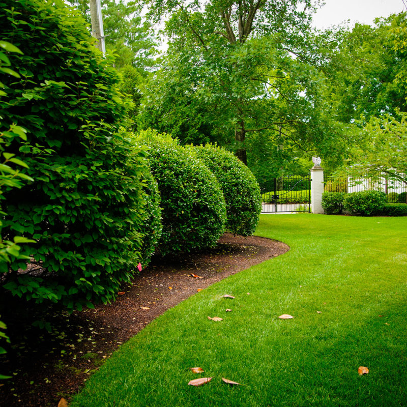 Verde - Page | Duke Landscape Architects