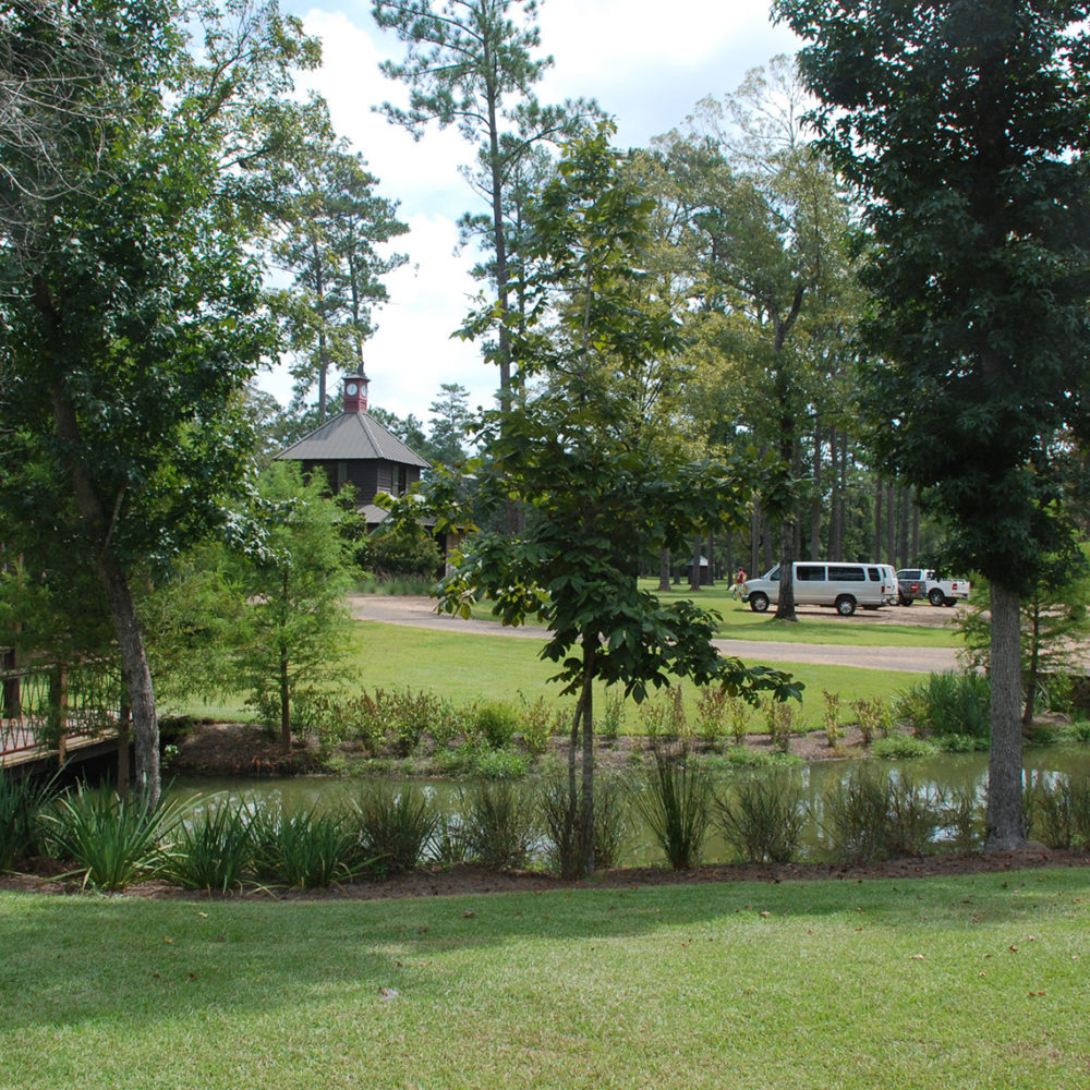 Longleaf - Page | Duke Landscape Architects