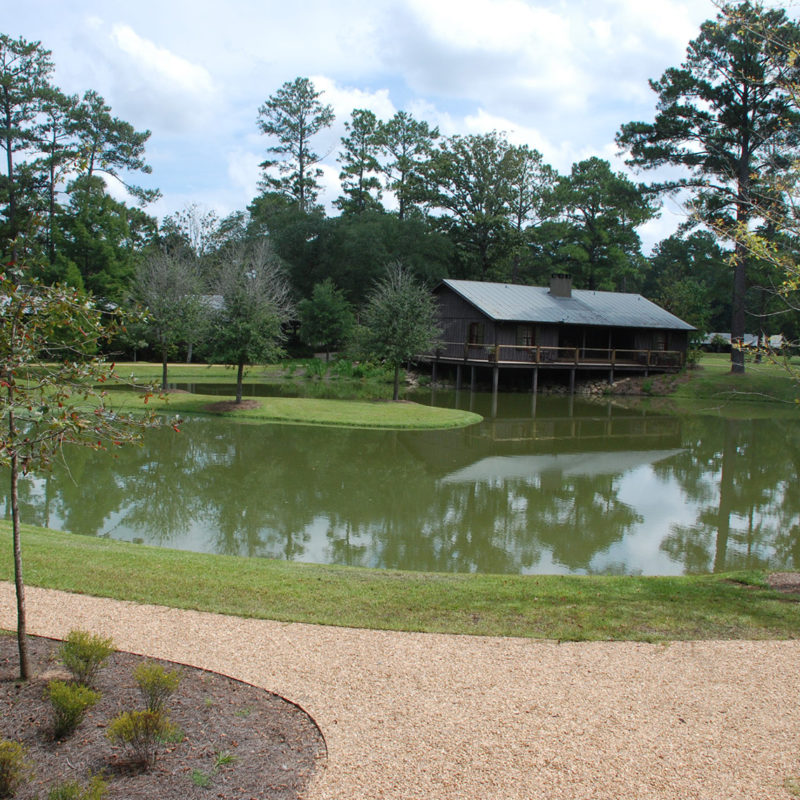 Longleaf - Page | Duke Landscape Architects