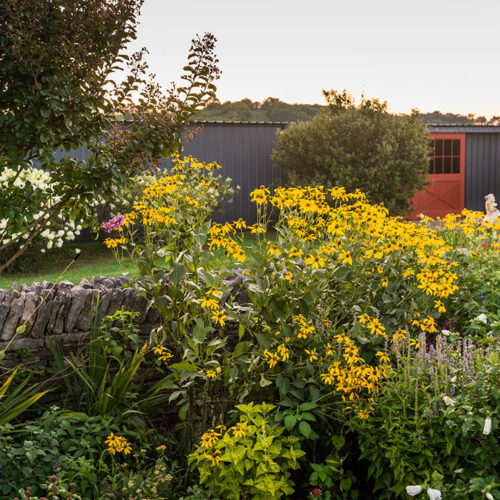 Brookside Farm - Page | Duke Landscape Architects